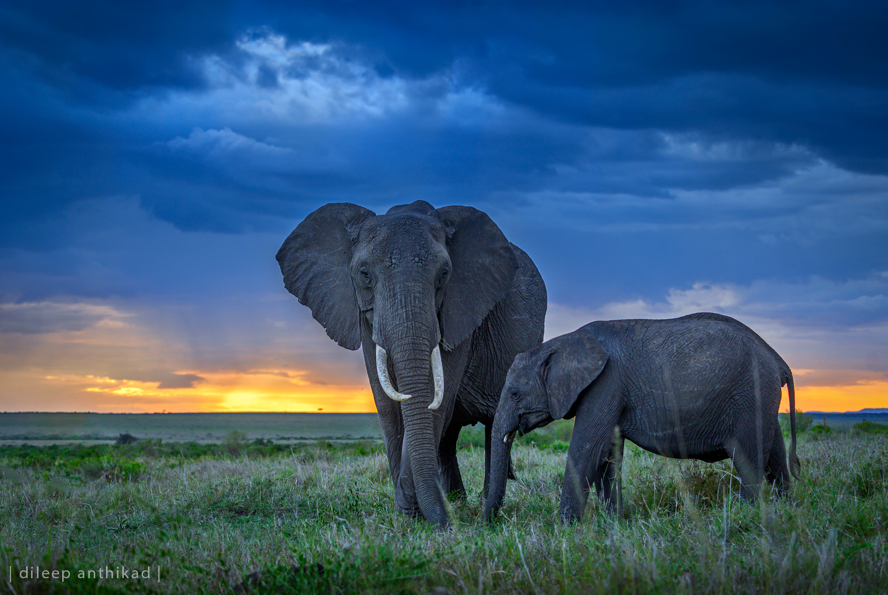 Osero Sopia River Camp – Magical Mara